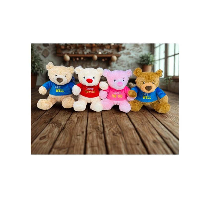 GET WELL TEDDY – Frizbee